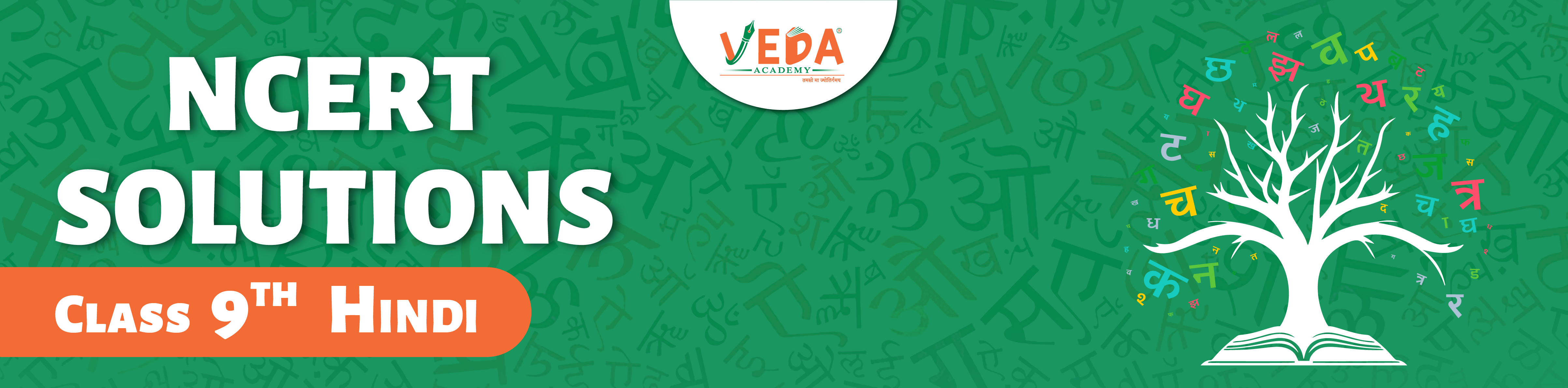 NCERT Solutions Class 9 Hindi