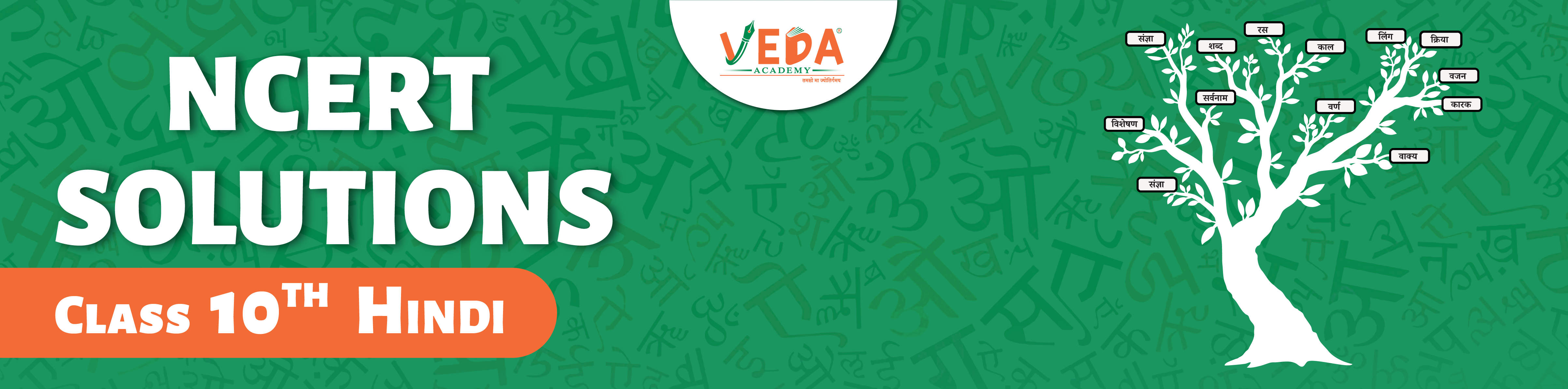 NCERT Solutions Class 10 Hindi | Chapter-wise Answers PDF for Easy Learning
