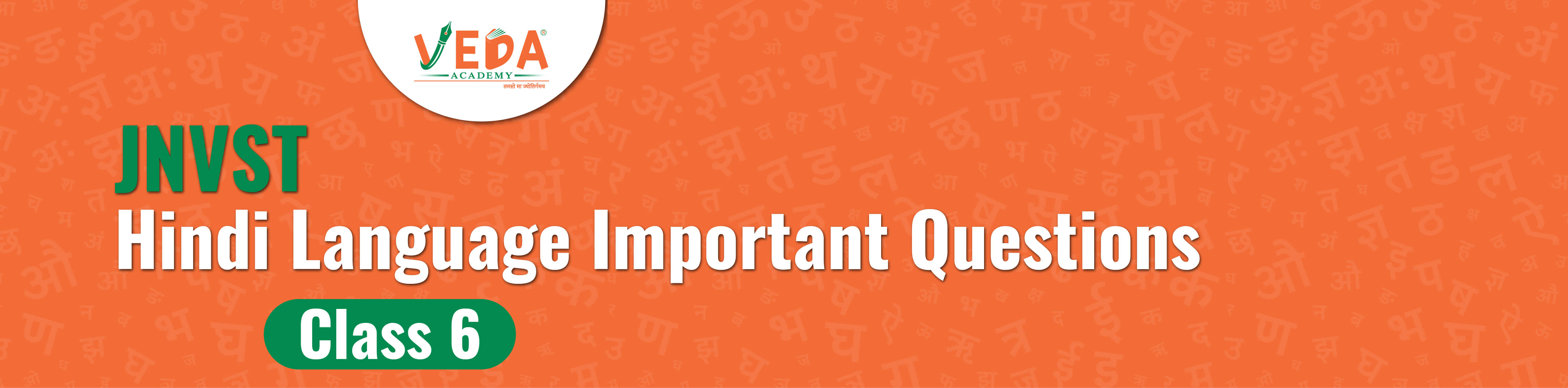 JNVST Hindi Language Questions Class 6 | Navodaya Hindi Grammar MCQs ...